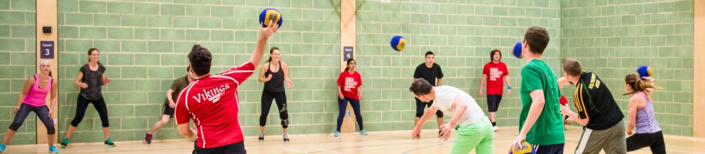 Dodgeball levels of play | GO Mammoth