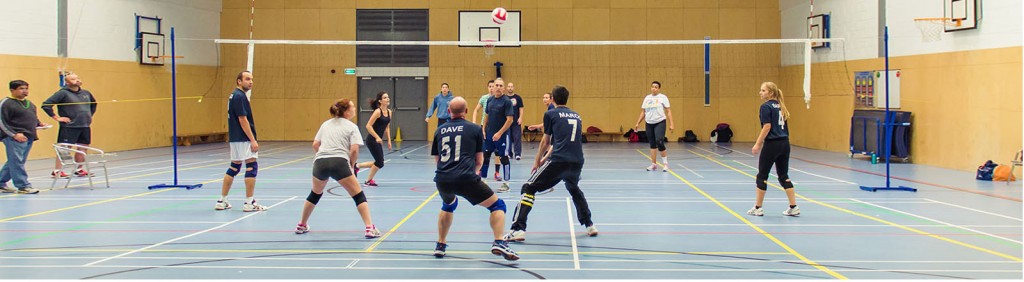 Coporate Team Building Volleyball | GO Mammoth